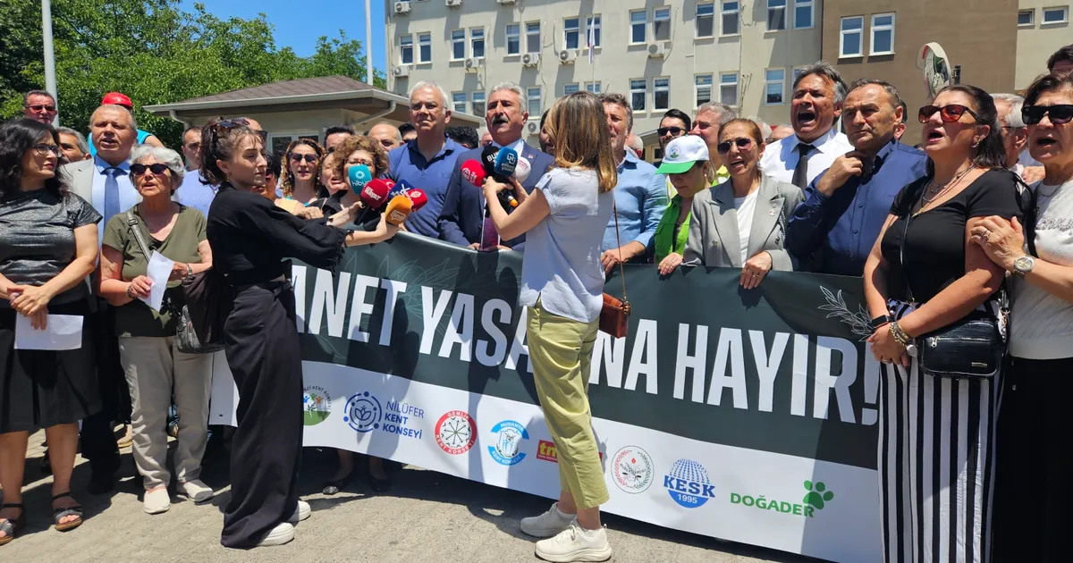 Bursa'da zeytinleri madene açan yasaya tepki: 'İhanet Yasasına Hayır ...